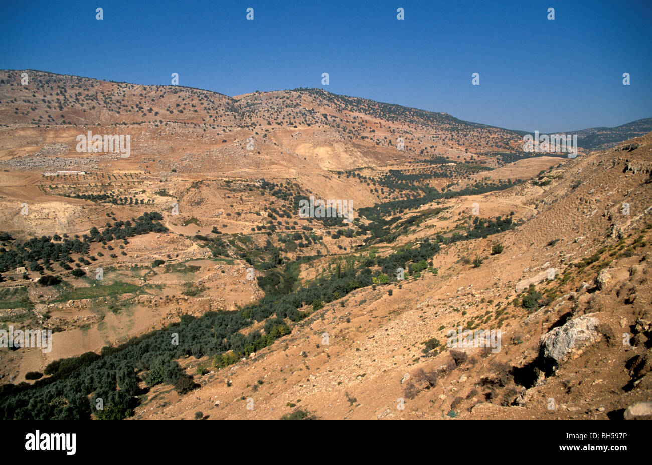 Gilead jordan hi-res stock photography and images - Alamy