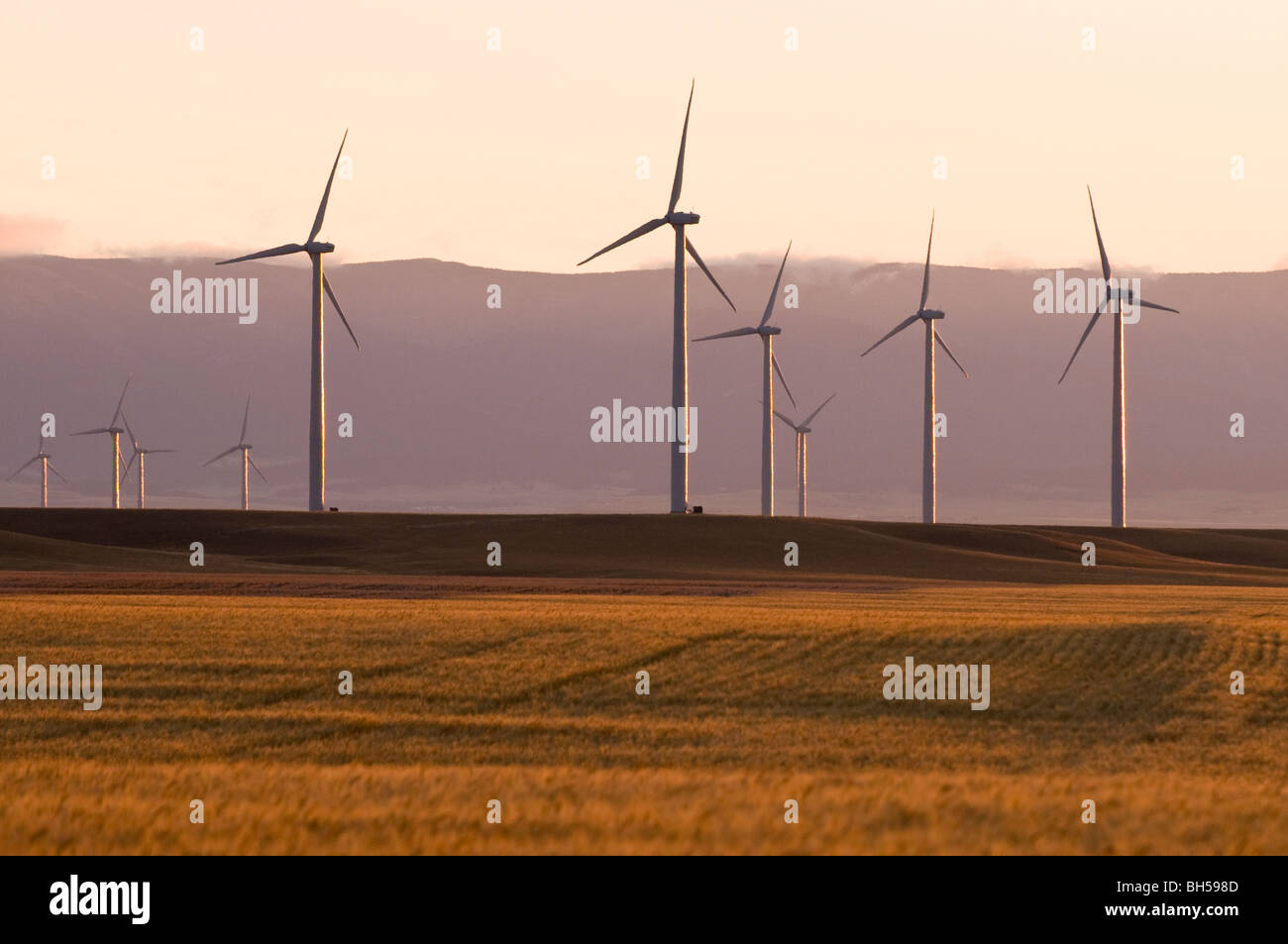 Wind turbines at sunrise Stock Photo - Alamy
