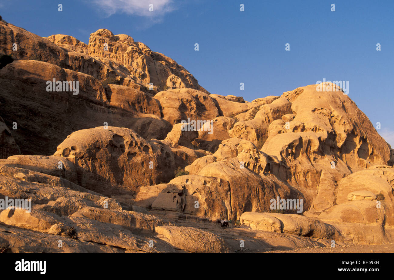 Jordan petra edom hi-res stock photography and images - Alamy