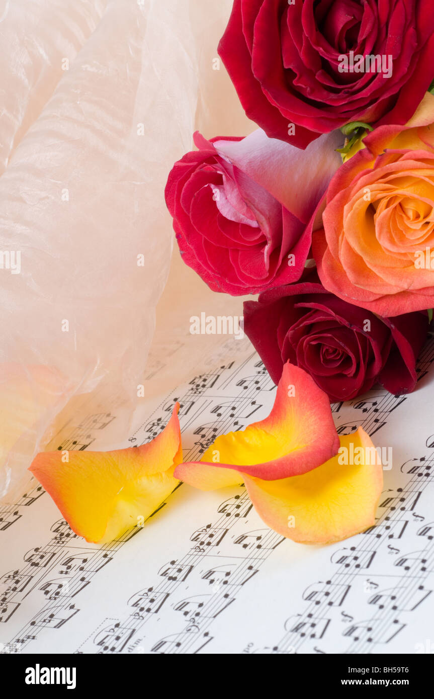 rose on a musical sheet Stock Photo - Alamy