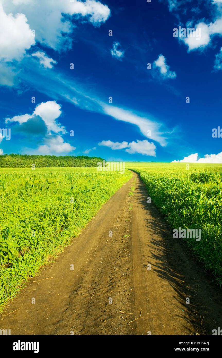 beautiful summer landscape Stock Photo - Alamy