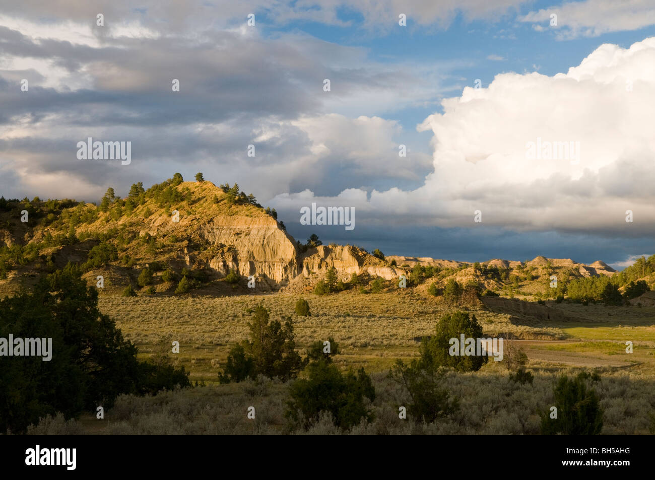 Glendive montana hi-res stock photography and images - Alamy