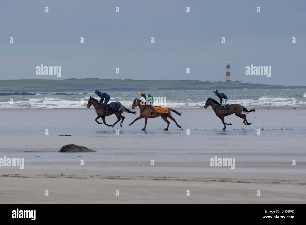 Racehorses being exercised on Tyrella Beach, Newcastle, Northern ...