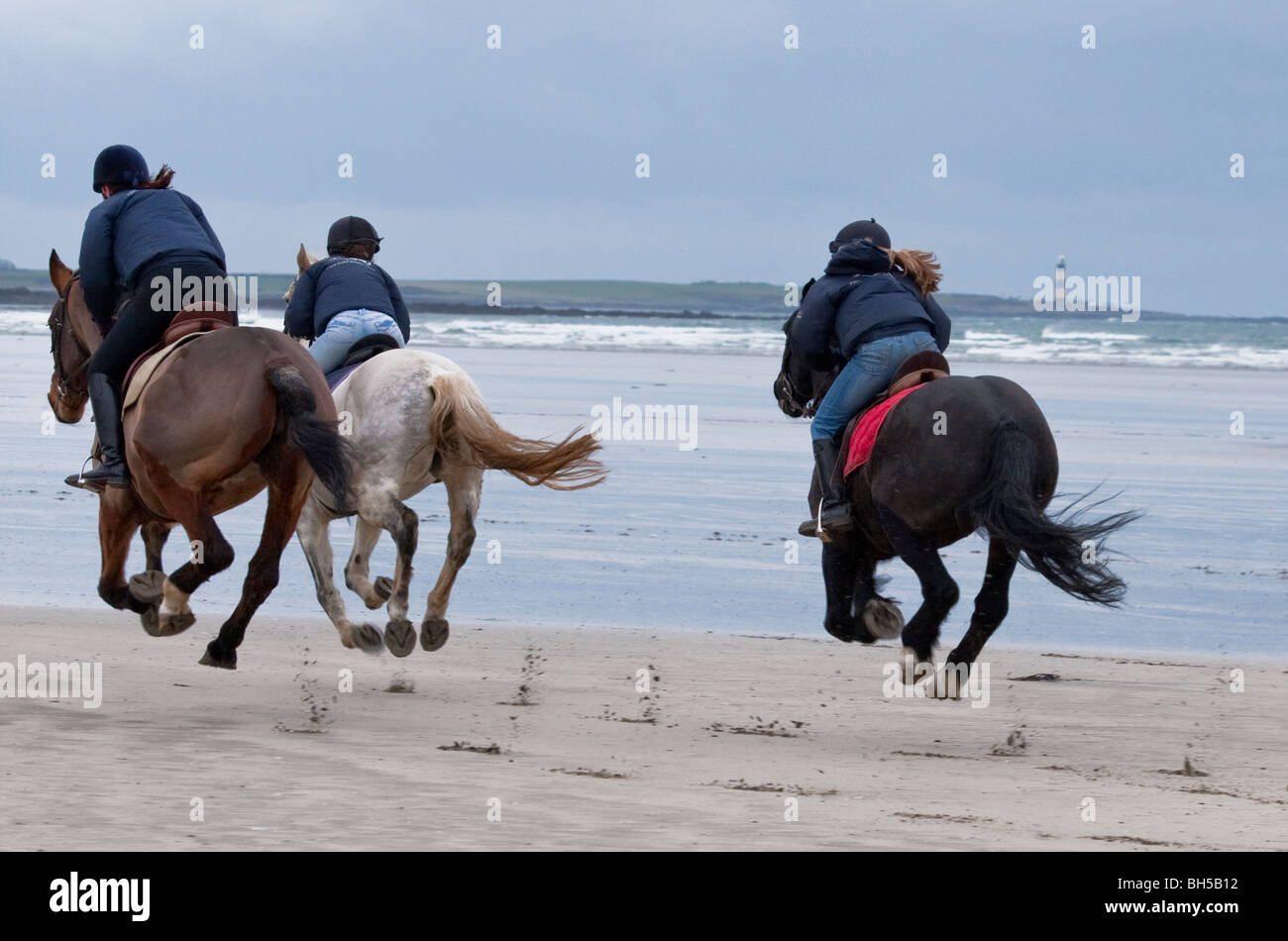 Gallop beach hi-res stock photography and images - Alamy