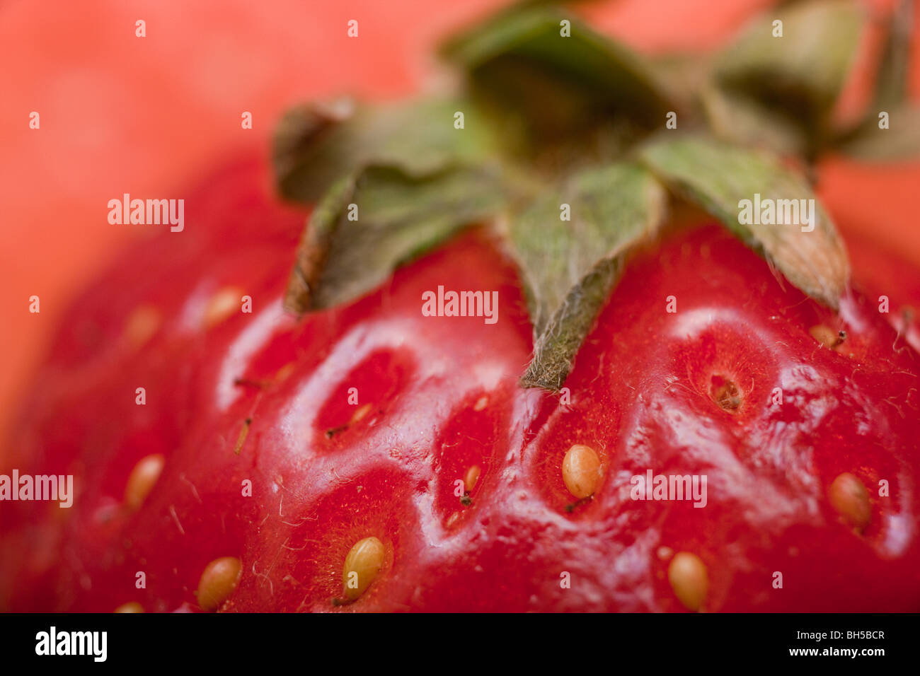 Extreme macro shot of a strawberry. Individual seeds can be seen Stock ...