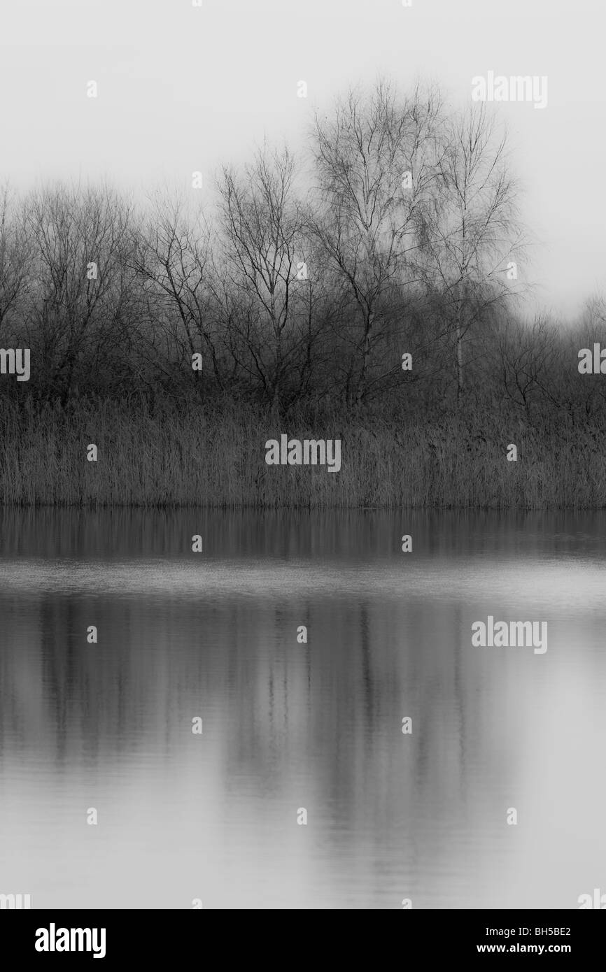 Mirrored reflections of trees Black and White Stock Photos & Images - Alamy