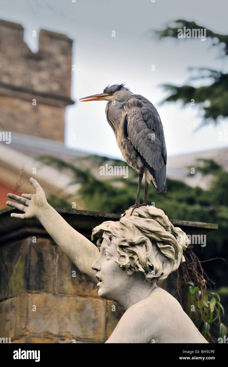 Heron statue hi-res stock photography and images - Alamy