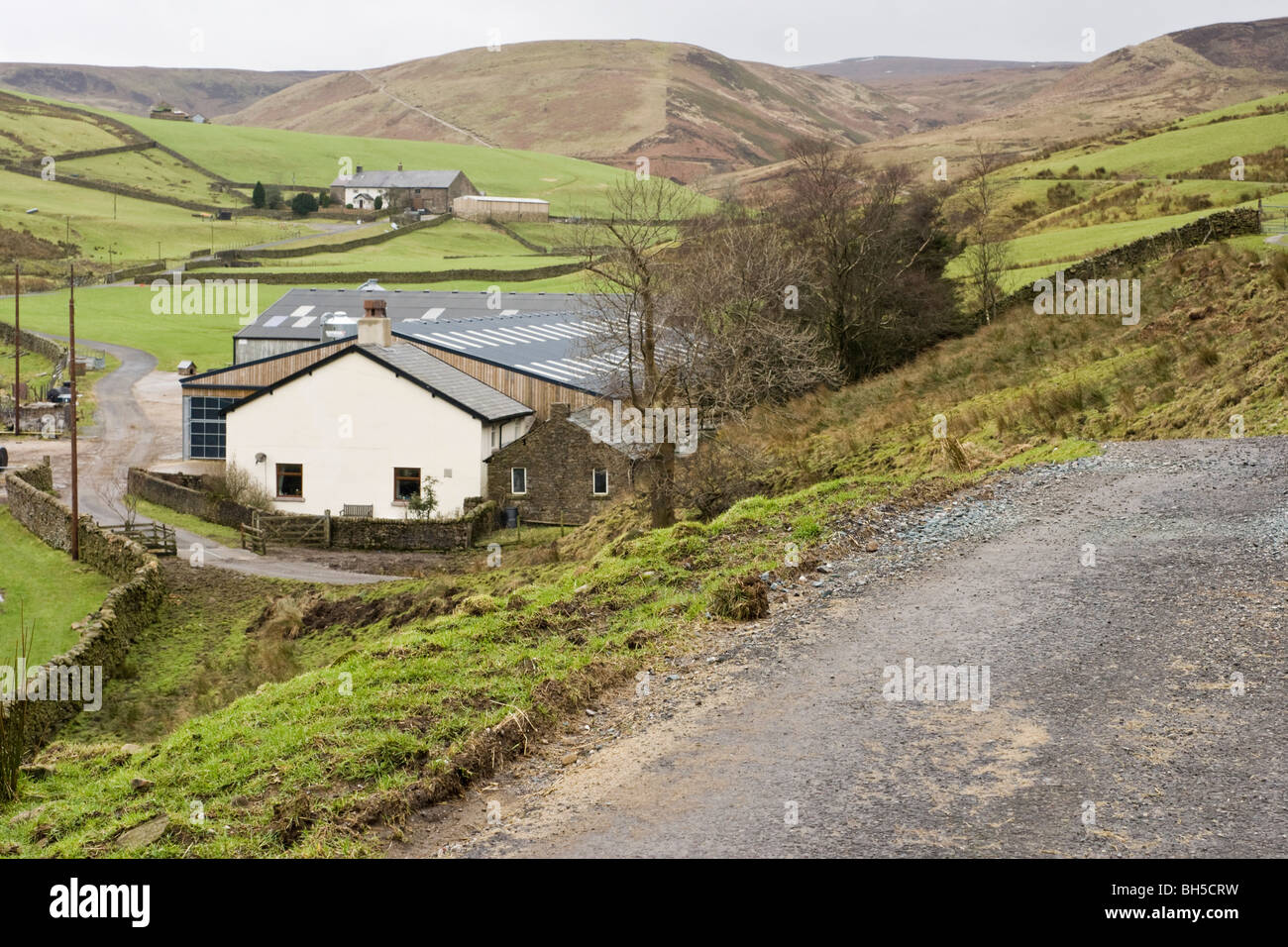 Remote farms in the forest of bowland Stock Photo - Alamy