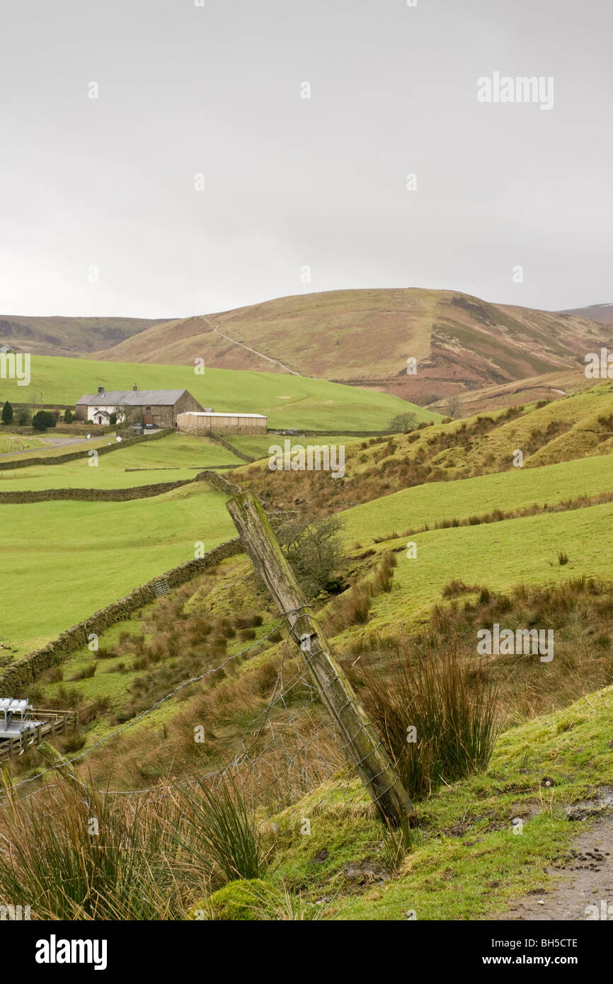 Remote farms in the forest of bowland Stock Photo - Alamy