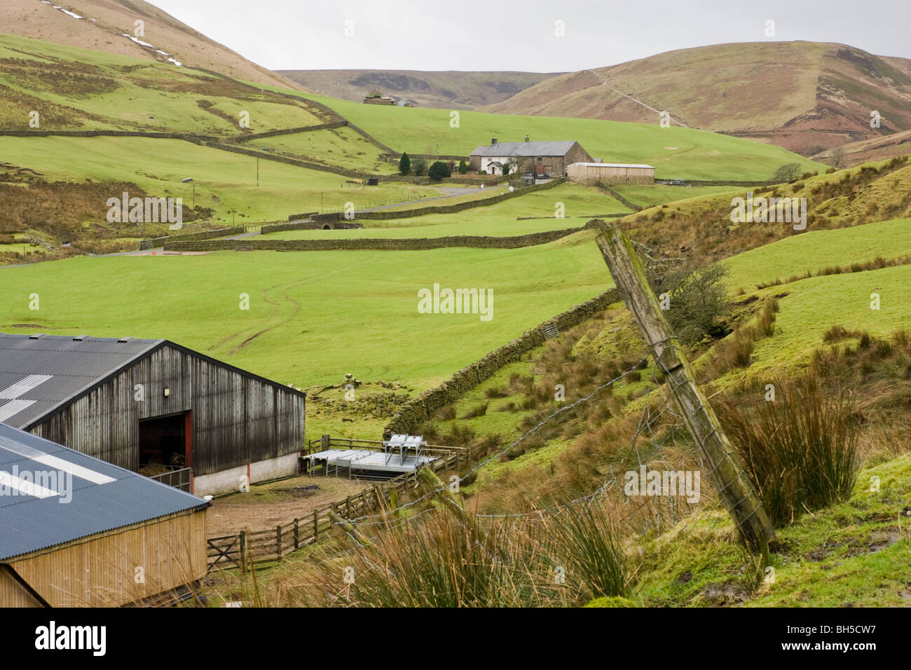 Remote farms in the forest of bowland Stock Photo - Alamy