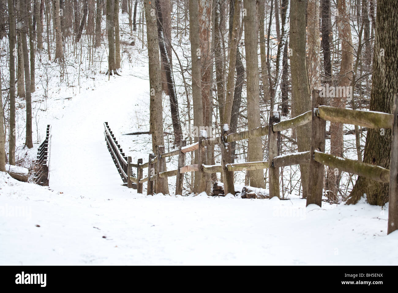 Covered path hi-res stock photography and images - Alamy