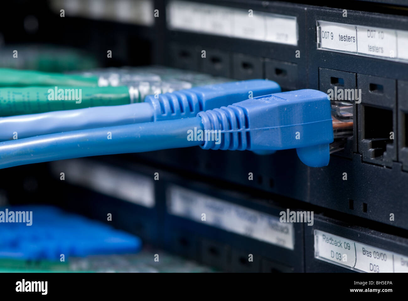 Fiber cables connected to servers in a datacenter Stock Photo - Alamy