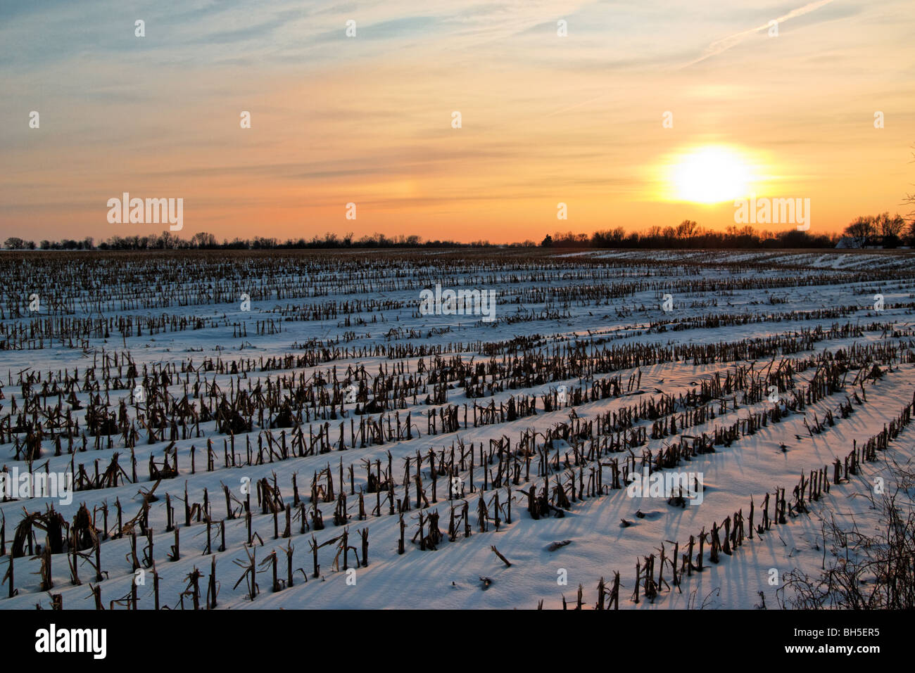 Snow covered field Stock Photo - Alamy