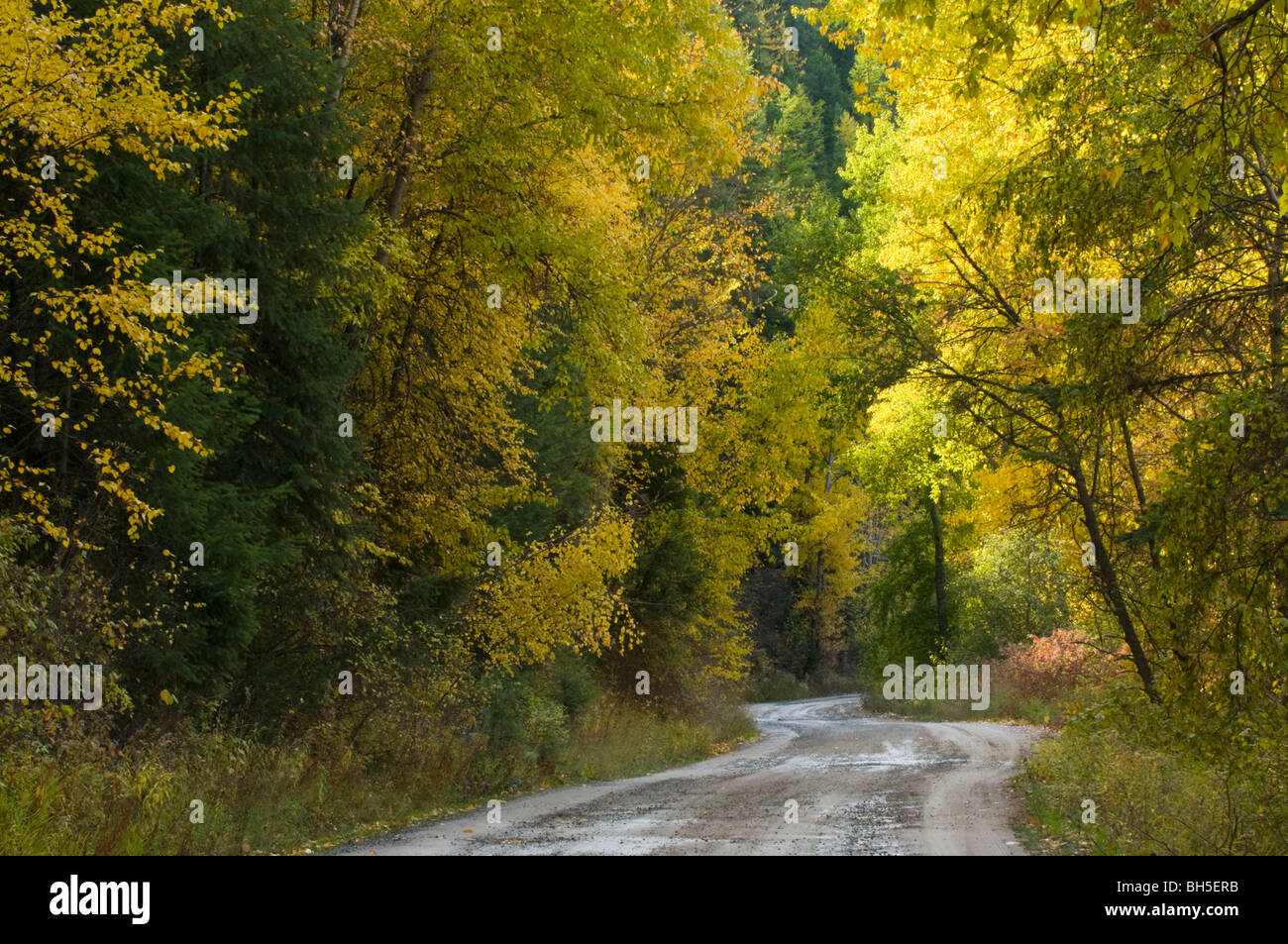 Inviting rural path hi-res stock photography and images - Alamy
