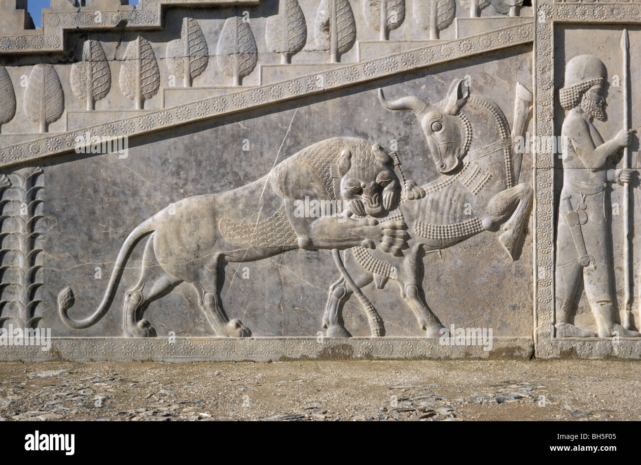 East staircase of the Apadana, Lion and Bull, Persepolis, Iran 690125 ...