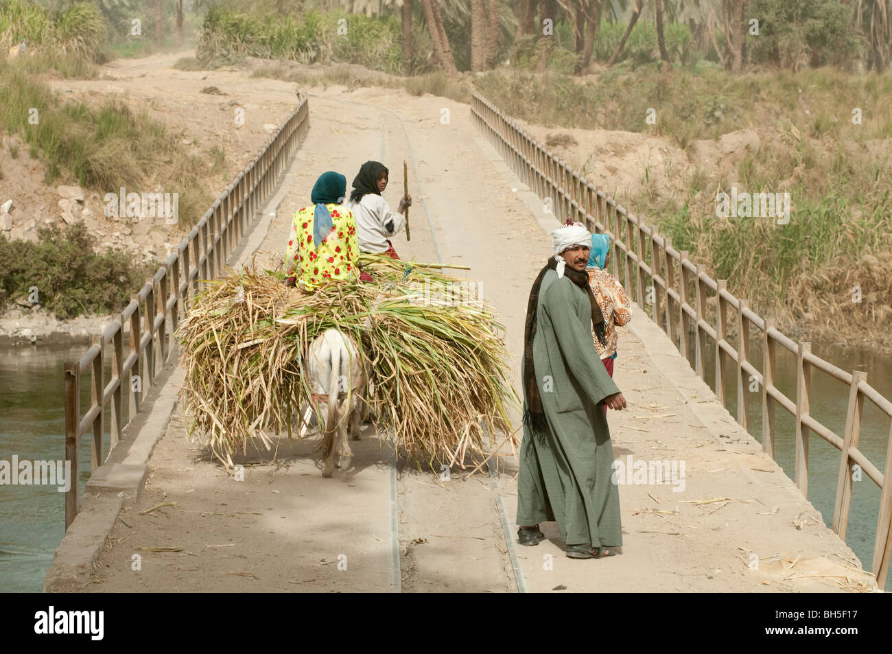 Scene in rural Egypt Stock Photo - Alamy