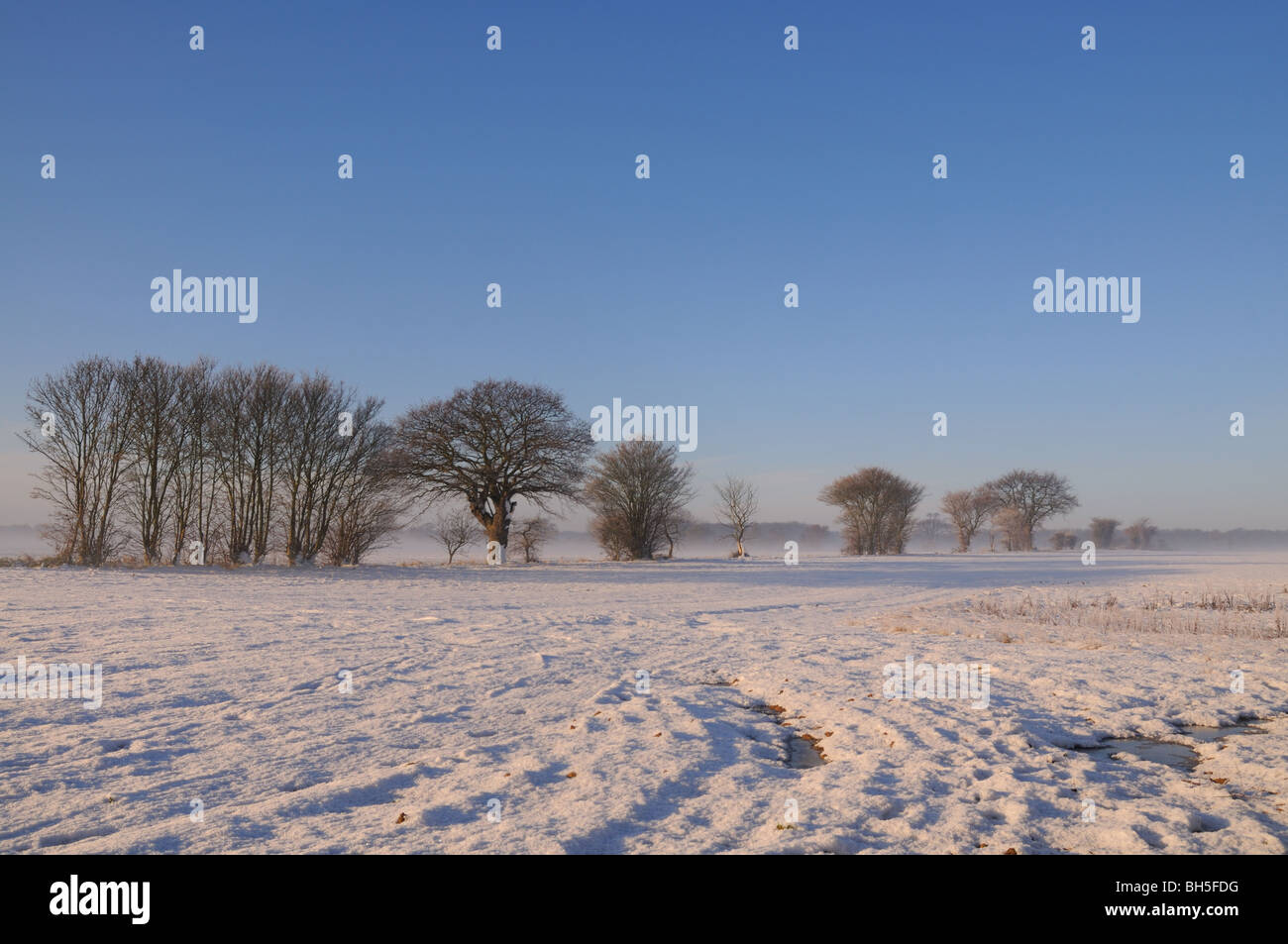 Tunstall Forest High Resolution Stock Photography and Images - Alamy