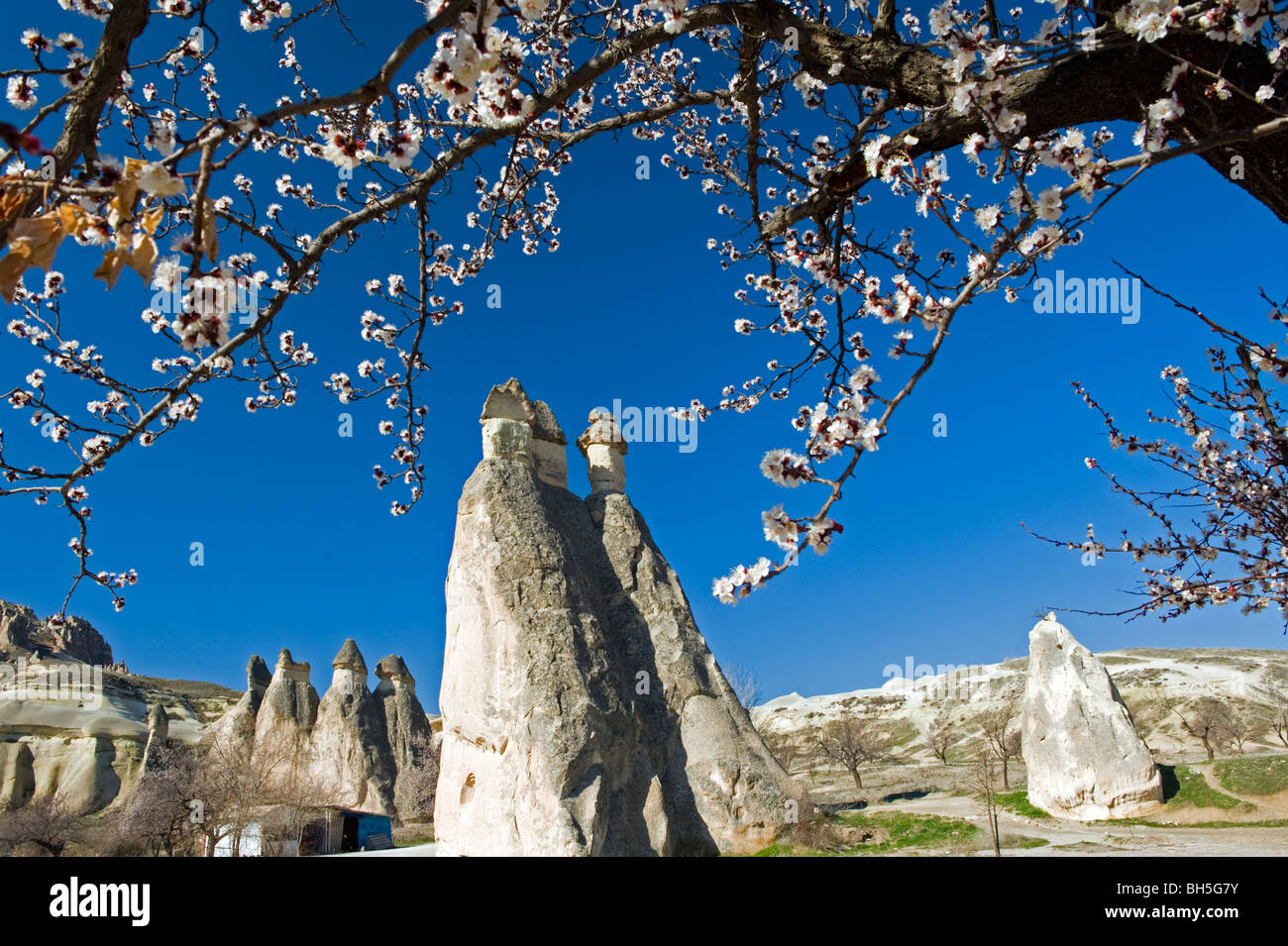 Cappadocia Fairy Chimneys Turkey Stock Photo - Alamy
