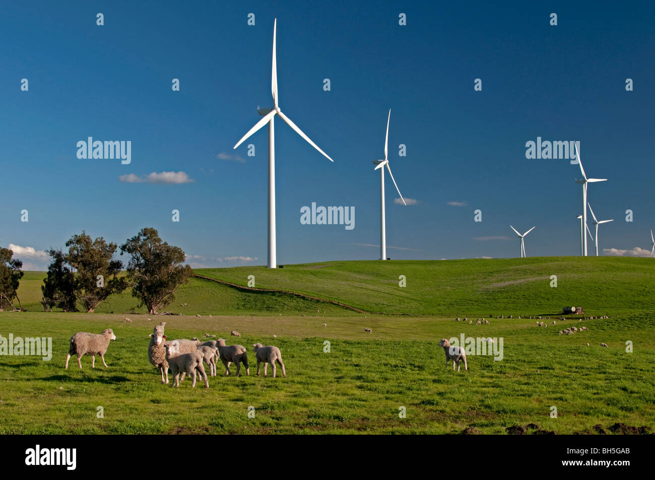 Rio vista wind turbines hi-res stock photography and images - Alamy