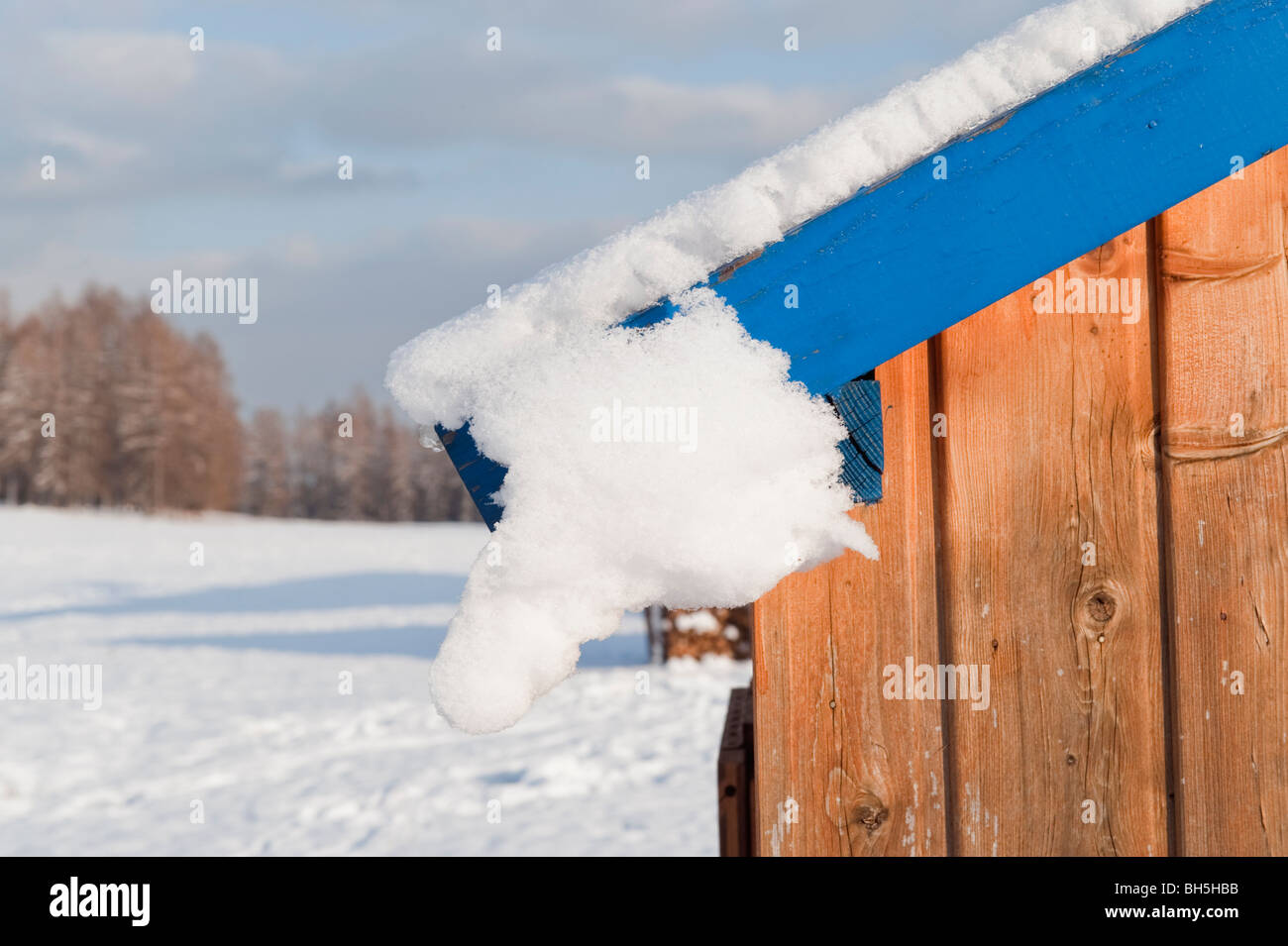 Wooden shed edged in blue covered with frost ice and snow Stock Photo ...