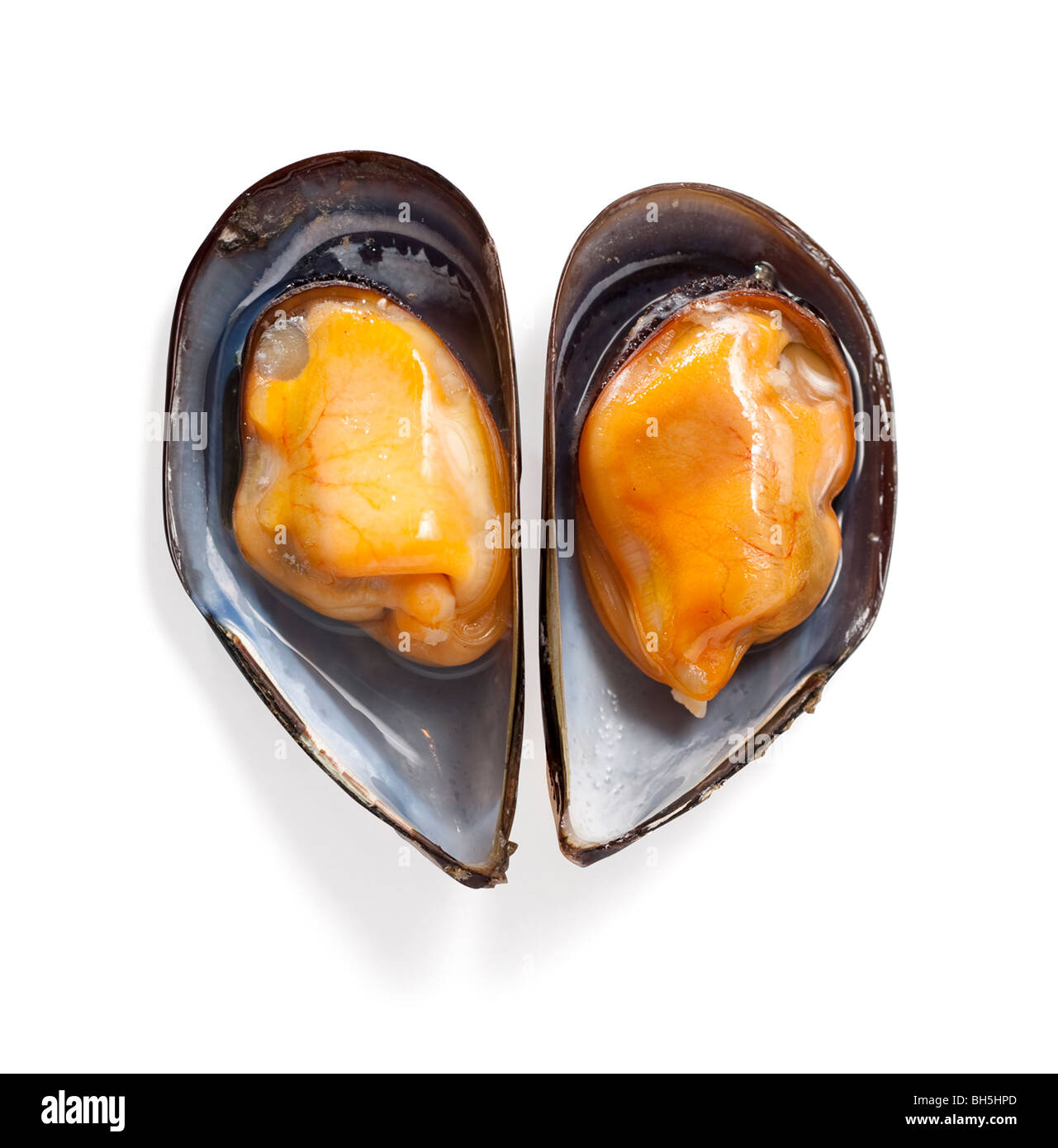 Mussel heart shape Stock Photo - Alamy