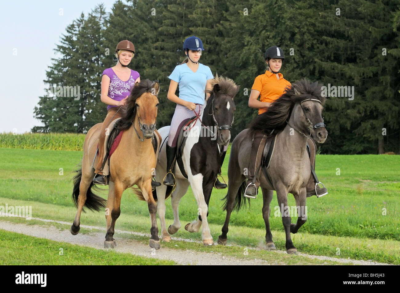 three girls riding on Icelandic horses Stock Photo - Alamy