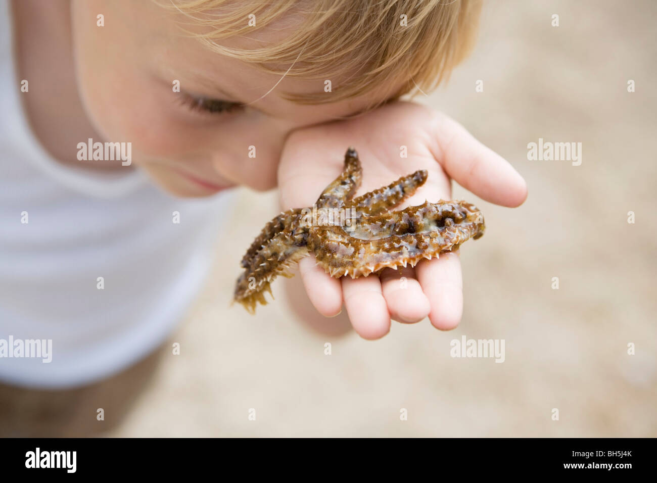 Small asterisk hi-res stock photography and images - Alamy