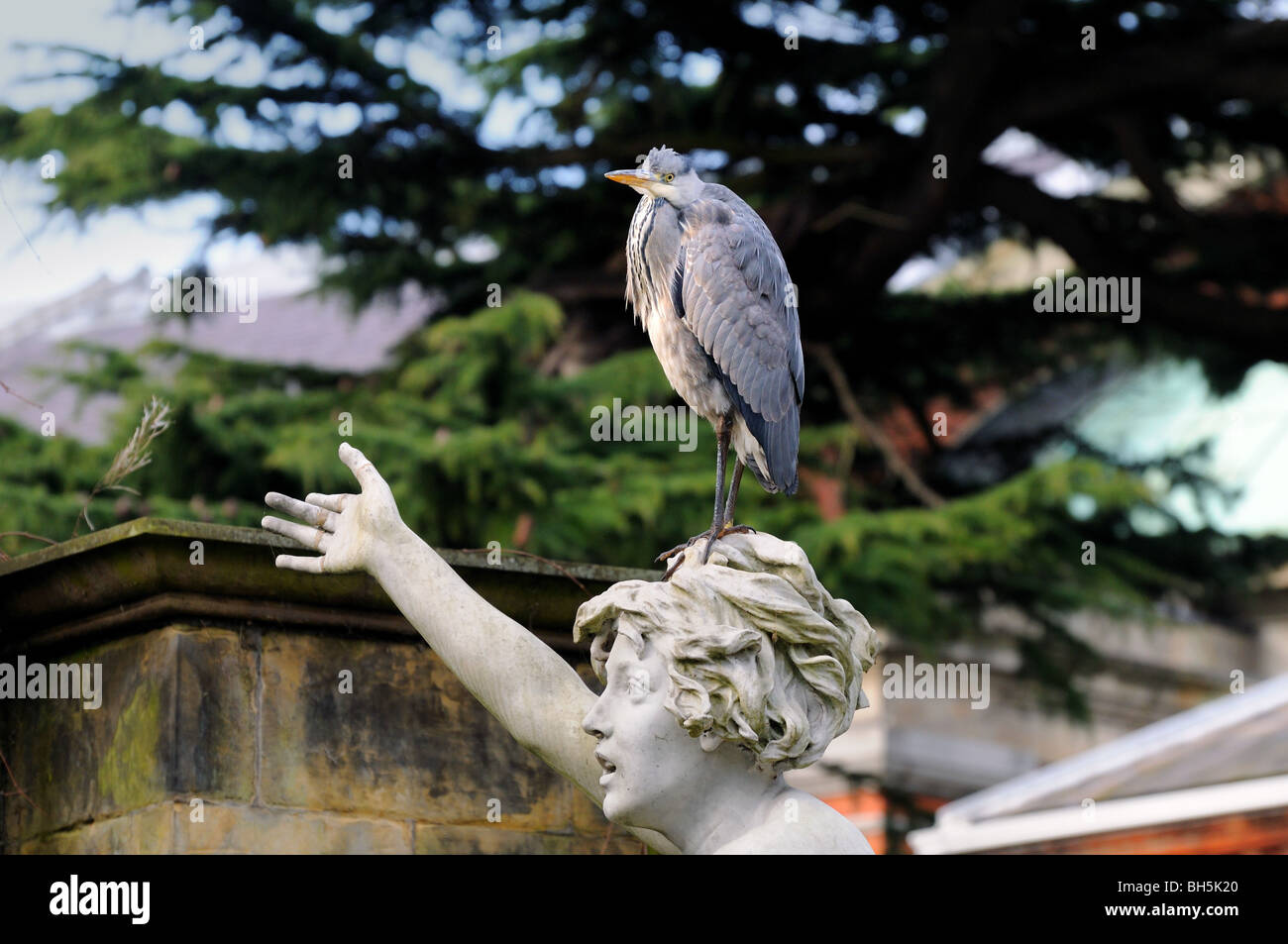 Heron statue hi-res stock photography and images - Alamy