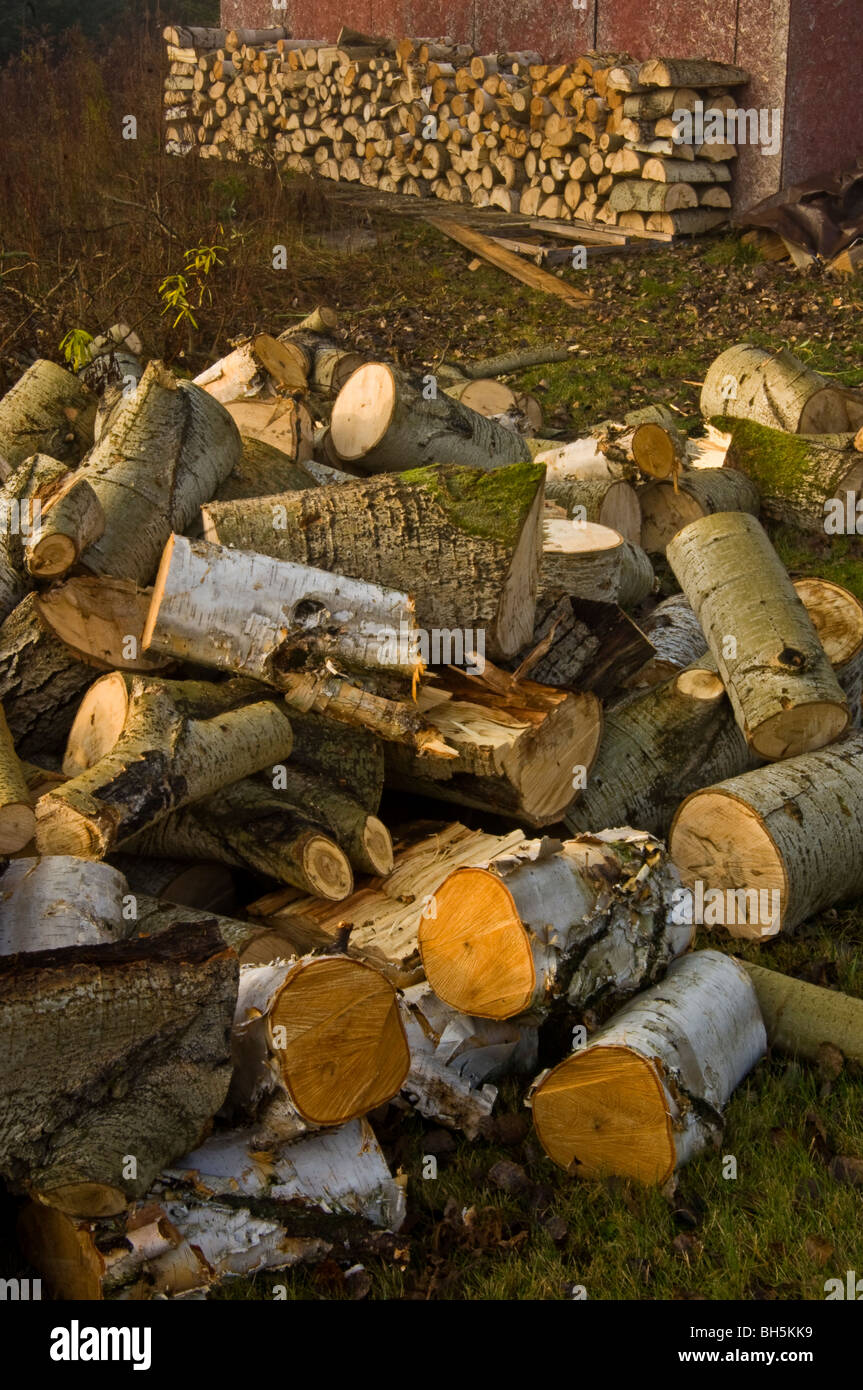 Harvesting fuelwood for the winter- pile of wood requiring splitting ...