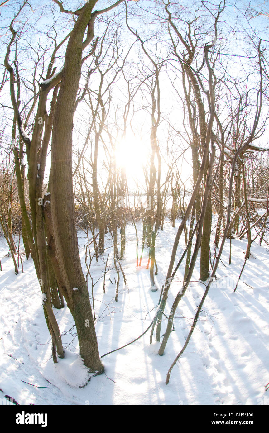 Whitlingham country park norwich hi-res stock photography and images ...