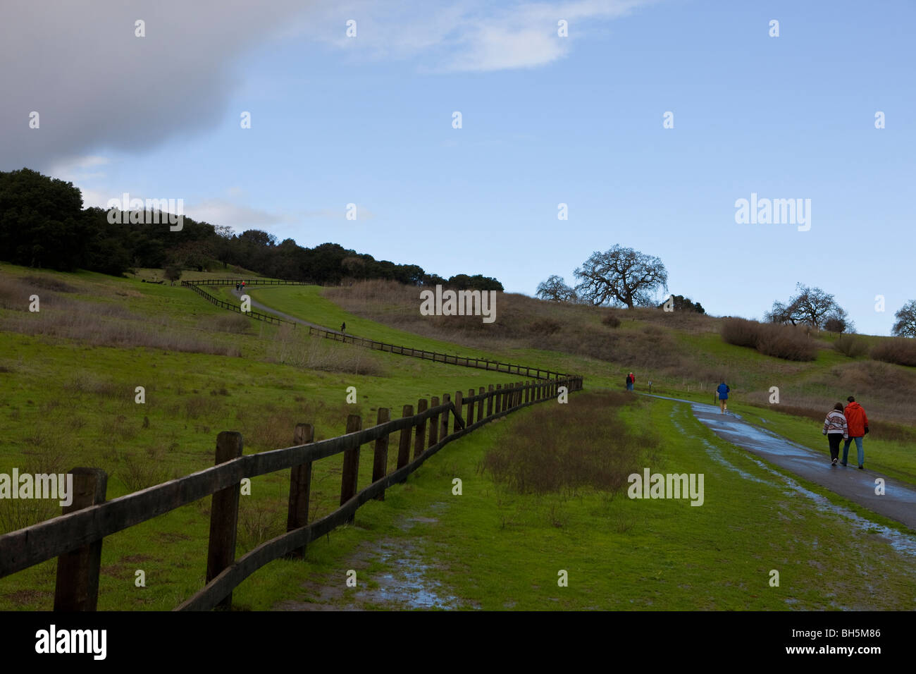 Rain on pathway hi-res stock photography and images - Alamy