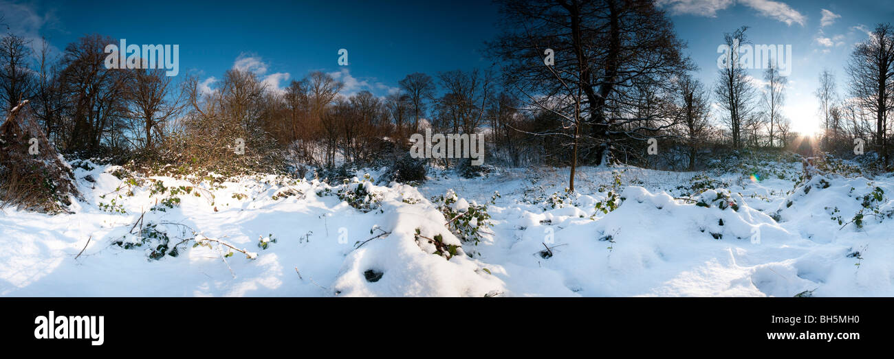 Whitlingham country park norwich hi-res stock photography and images ...