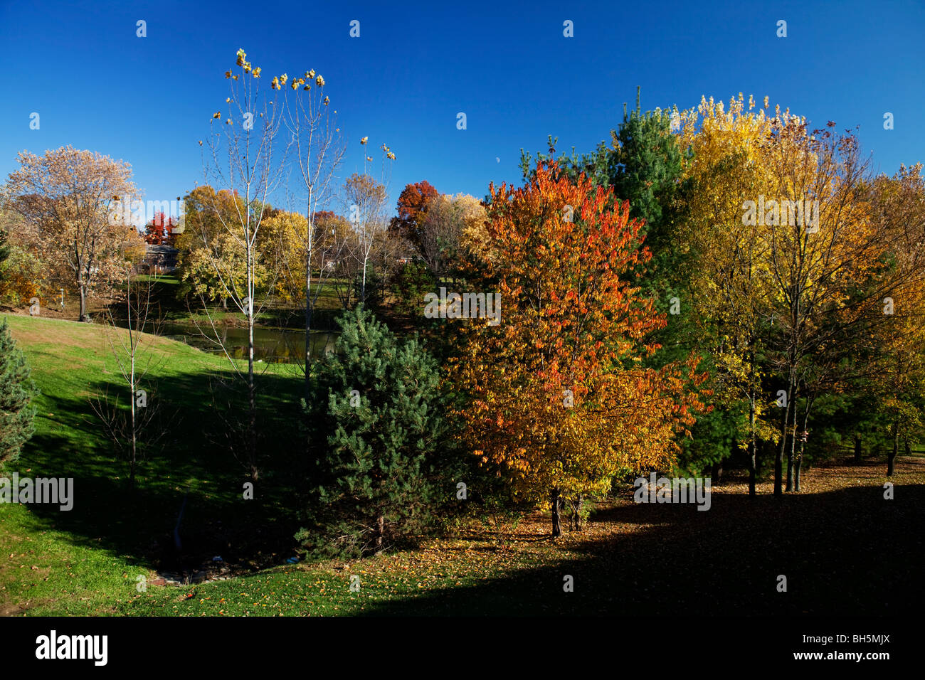 Fall colors in a Kentucky backyard Stock Photo - Alamy
