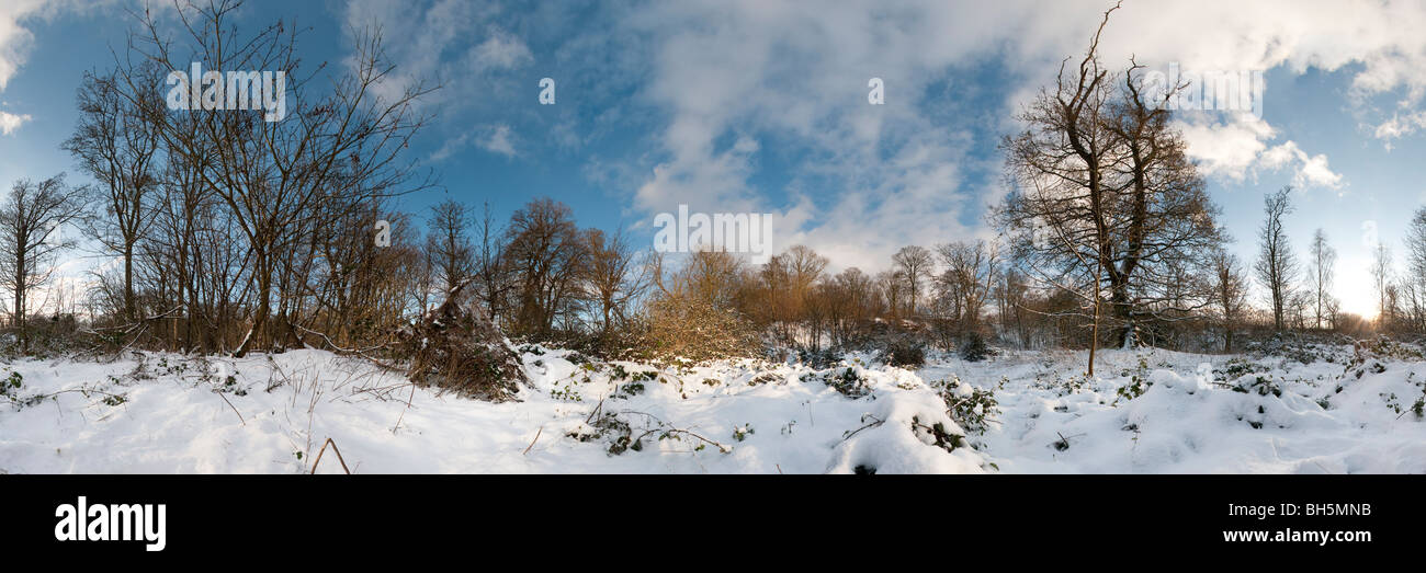 Whitlingham country park norwich hi-res stock photography and images ...