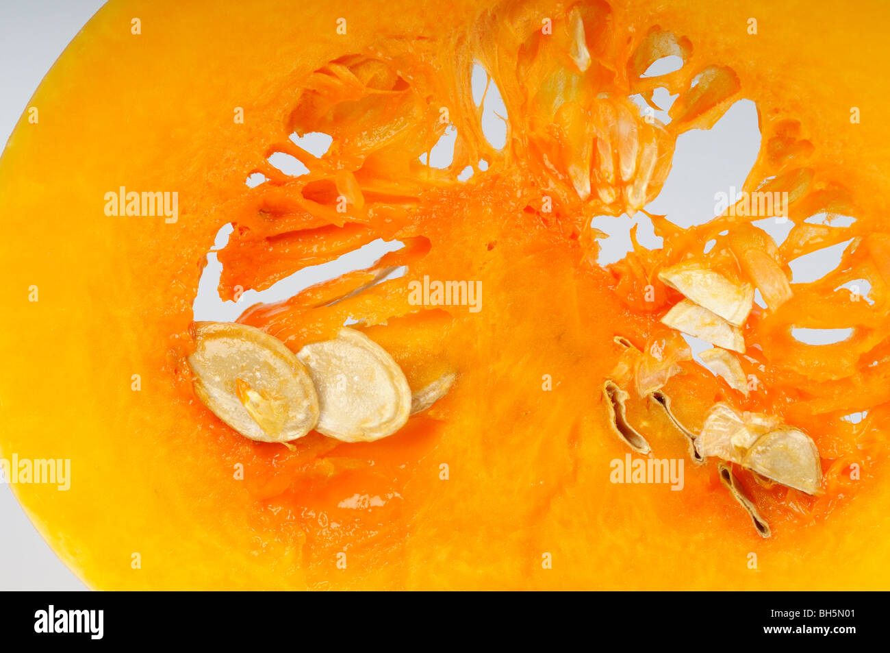 Stock photo of a butternut squash cut into a cross section and shot on ...