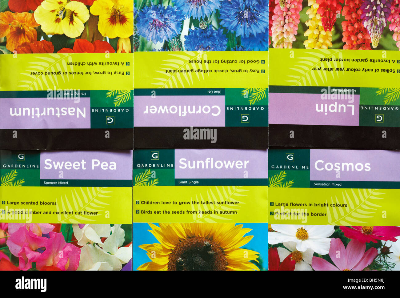Packets of flower seeds Stock Photo - Alamy