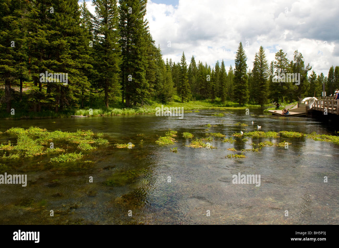 Big Springs, the headwaters of the Henry's Fork of the Snake River ...