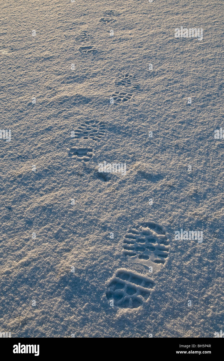 dh SNOW BACKGROUND Walking boot foot prints in snow steps shoe print ...