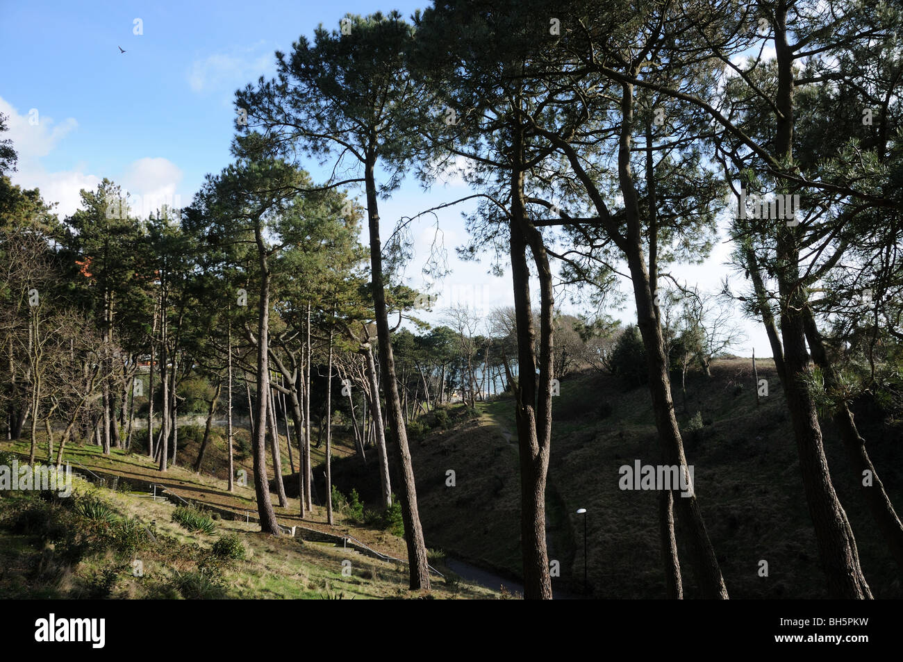 Boscombe chine gardens hi-res stock photography and images - Alamy