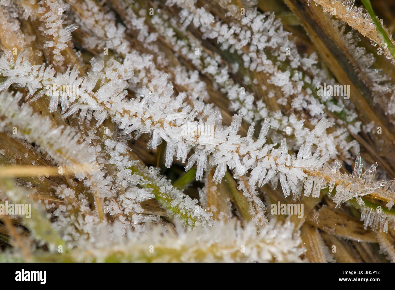 Freezing earth iced crystals hi-res stock photography and images - Alamy