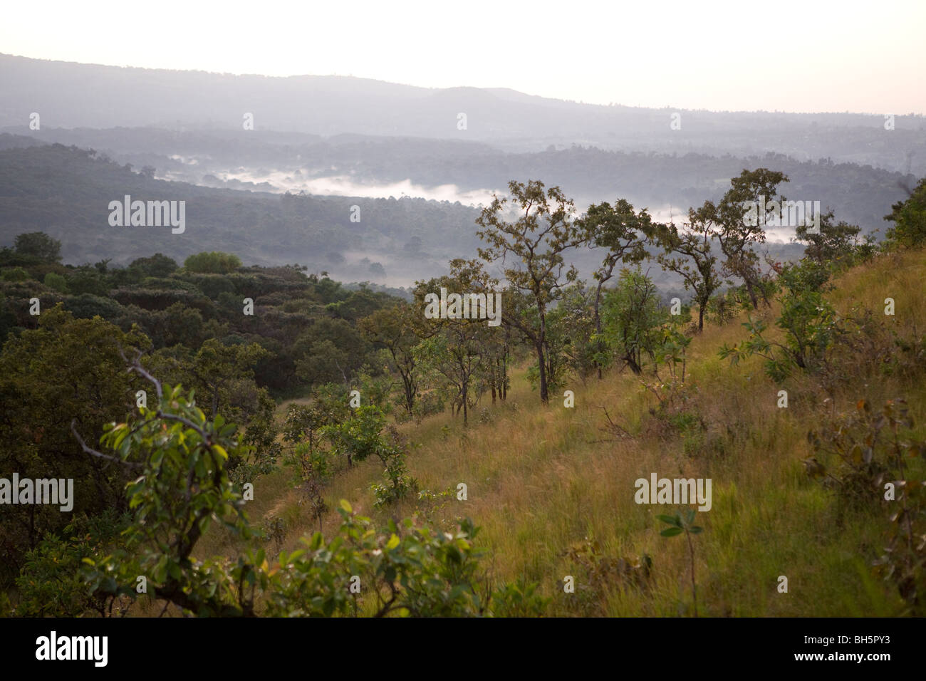 Deforestation rainforest erosion hi-res stock photography and images ...