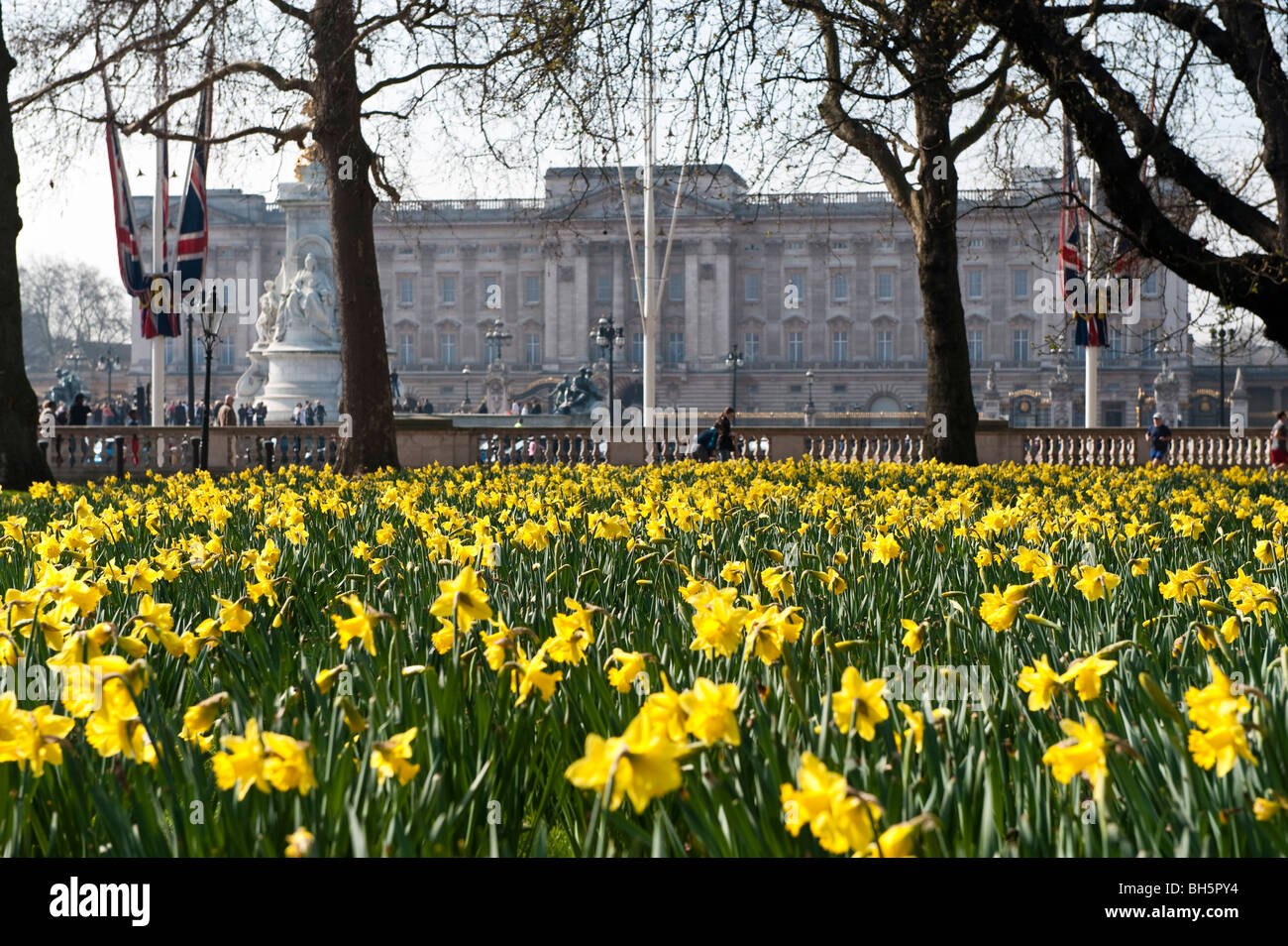 Early spring in London Stock Photo - Alamy