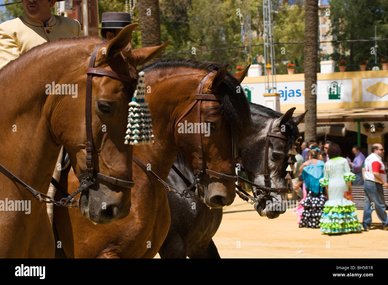 Feria del caballo de jerez hi-res stock photography and images - Alamy