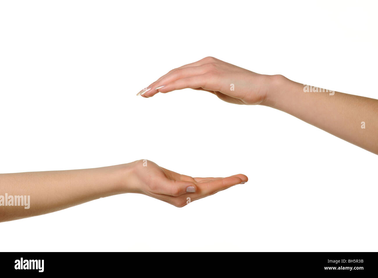 Two different female hands, from above and from below. Isolated on a ...