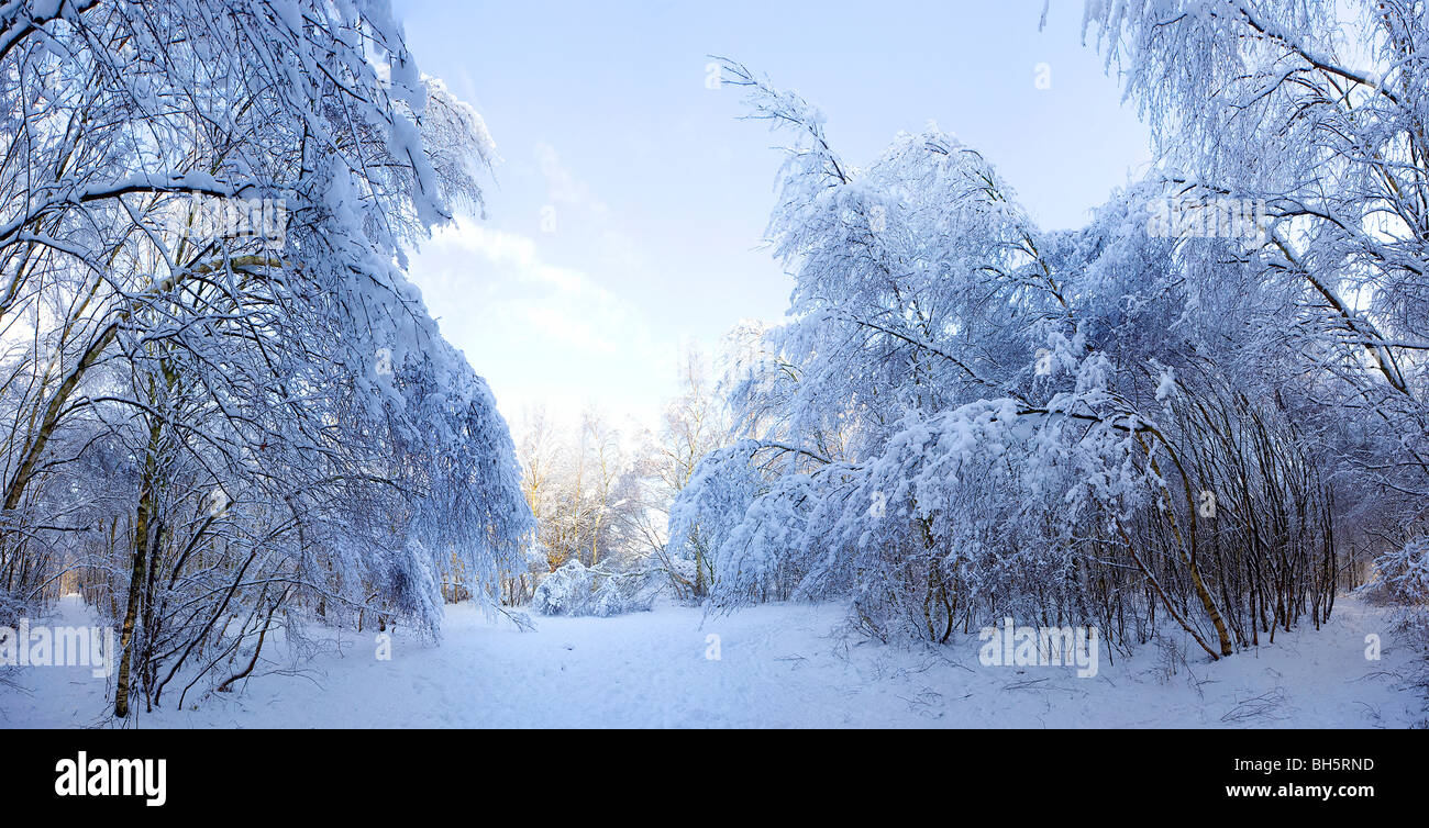 180 degree panoramic hi-res stock photography and images - Alamy