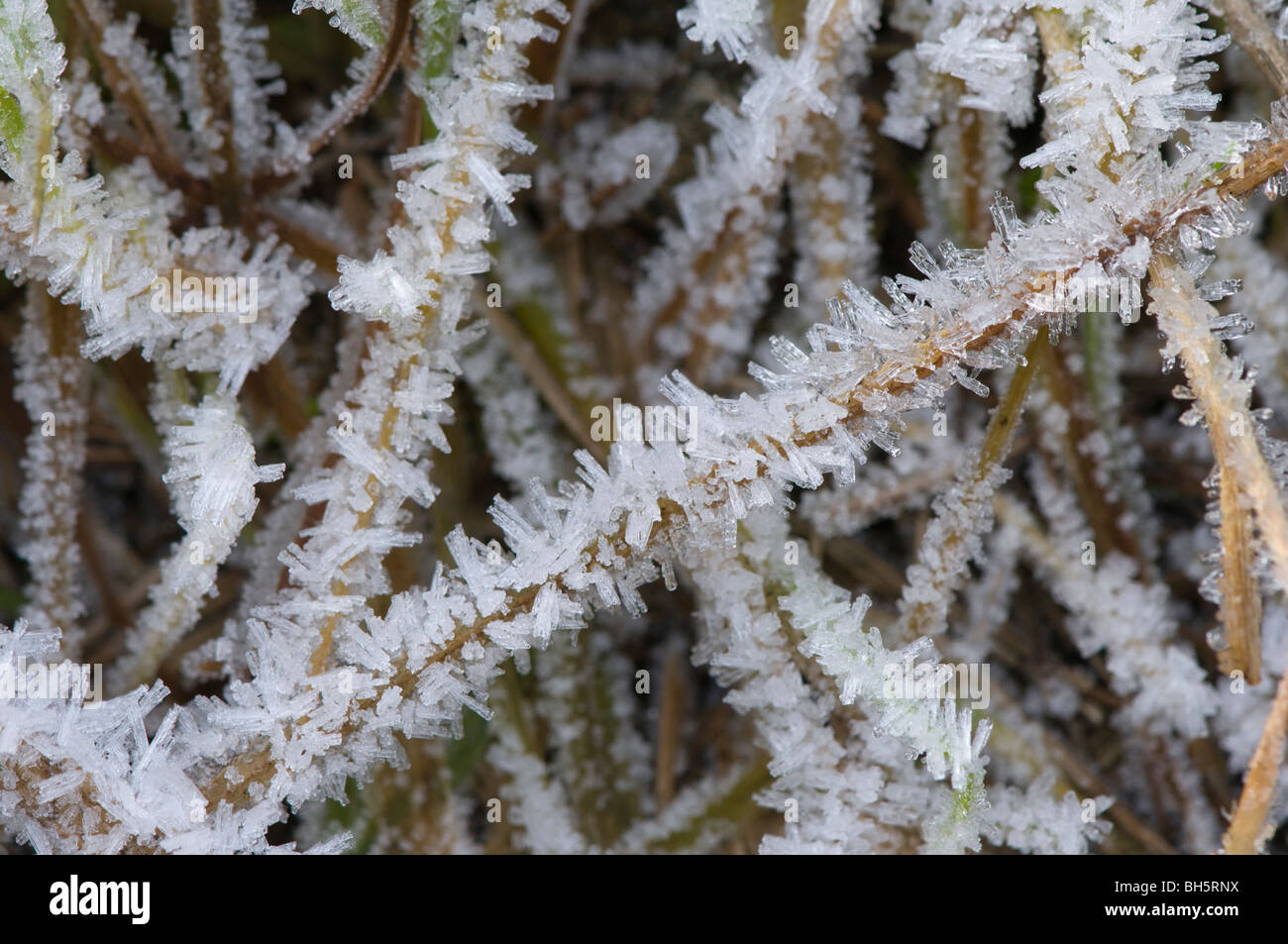 Freezing earth iced crystals hi-res stock photography and images - Alamy