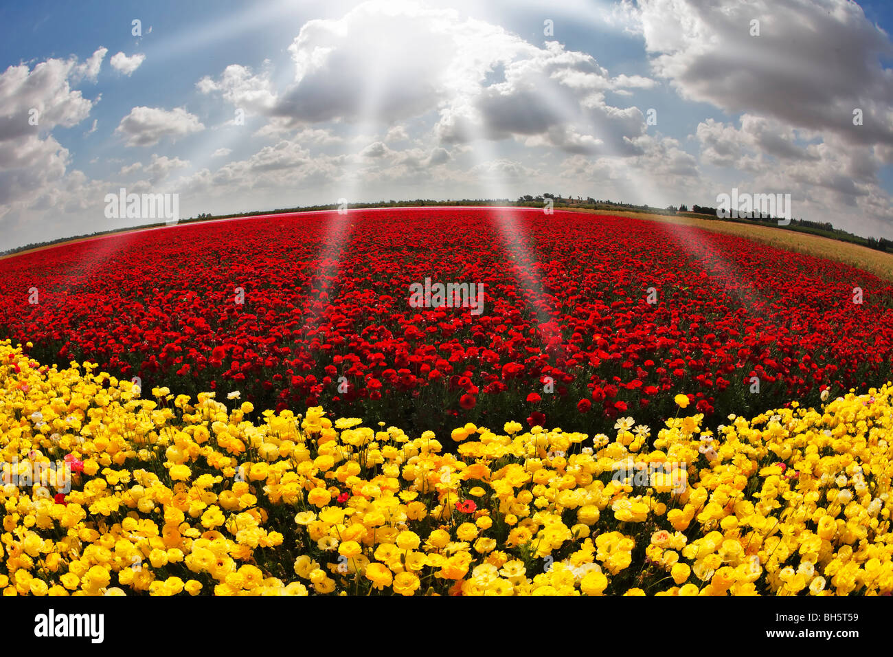 Solar spring hi-res stock photography and images - Alamy