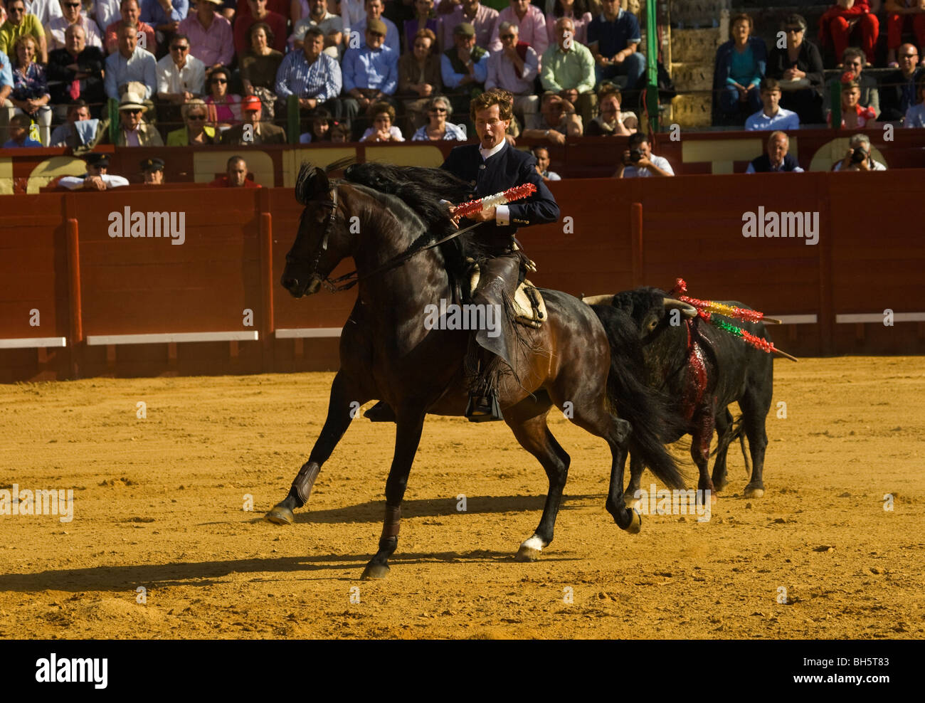 Corrida Horse Andalusia Spain Horse bull tradition Stock Photo - Alamy