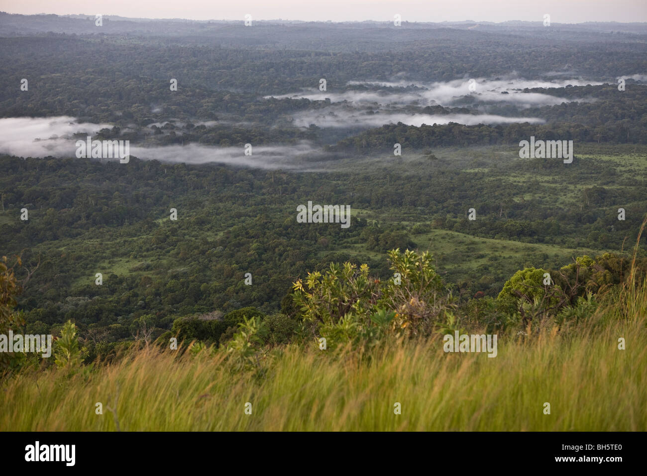 Deforestation rainforest erosion hi-res stock photography and images ...
