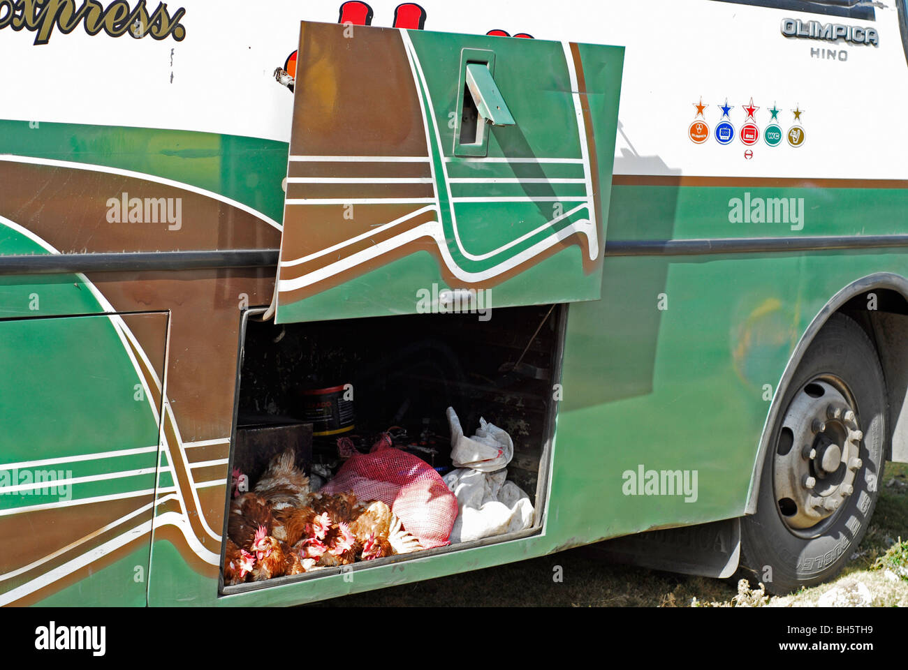 Livestock poultry van hi-res stock photography and images - Alamy